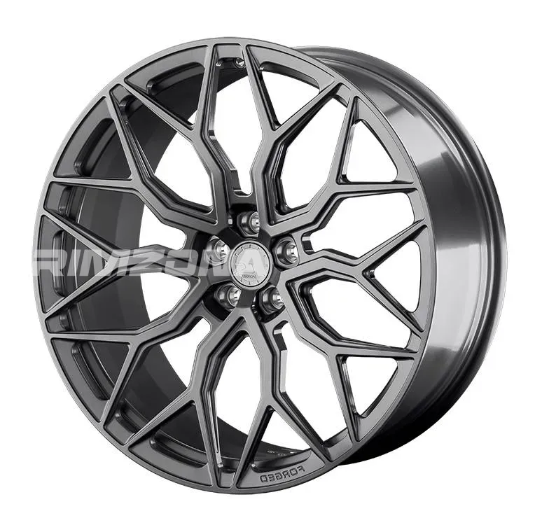 Кованые диски LS FORGED LS FG13 R21 10/11J 5x112 ET20/42 dia 66.6 (MGM) купить в Уфе по выгодной ...